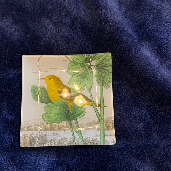 Fringe Studio | Accents | Trinket Glass Dish With Beautiful Bird | Poshmark